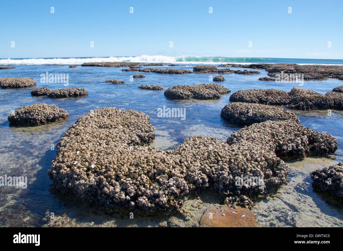 Tide pools at Blue Holes beach with the Indian Ocean seascape and ...