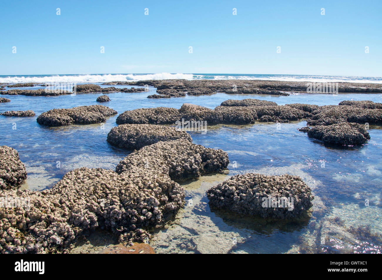 Reef Holes High Resolution Stock Photography and Images - Alamy