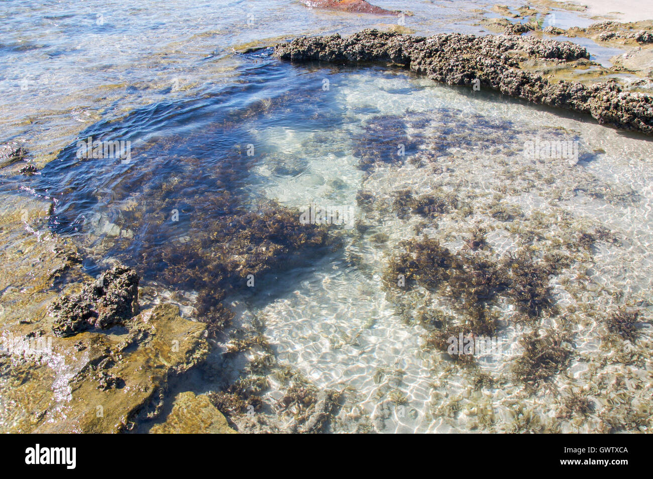 Underwater rocky reef australia hi-res stock photography and images - Alamy