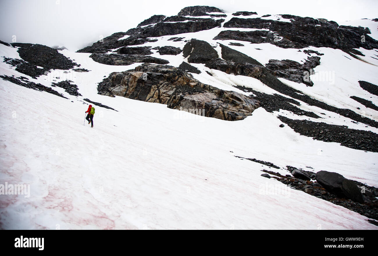 Wedgemount lake trail hi-res stock photography and images - Alamy