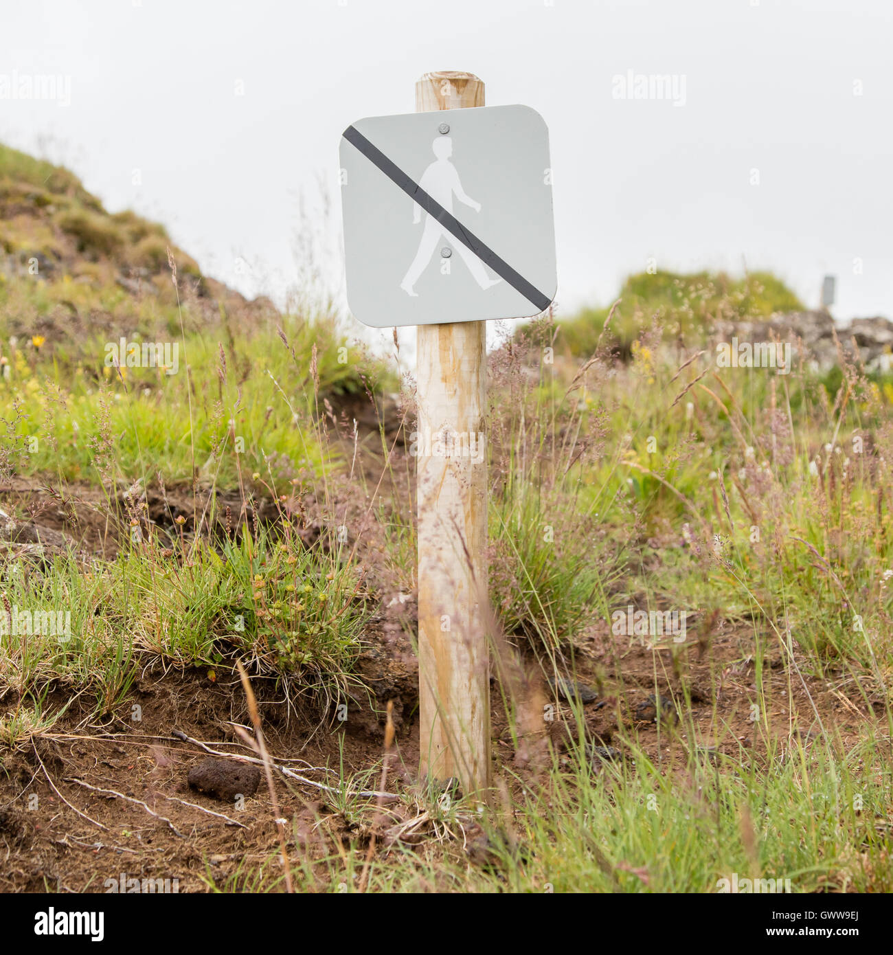 Forbidden to walk over here - Sign in Iceland Stock Photo - Alamy