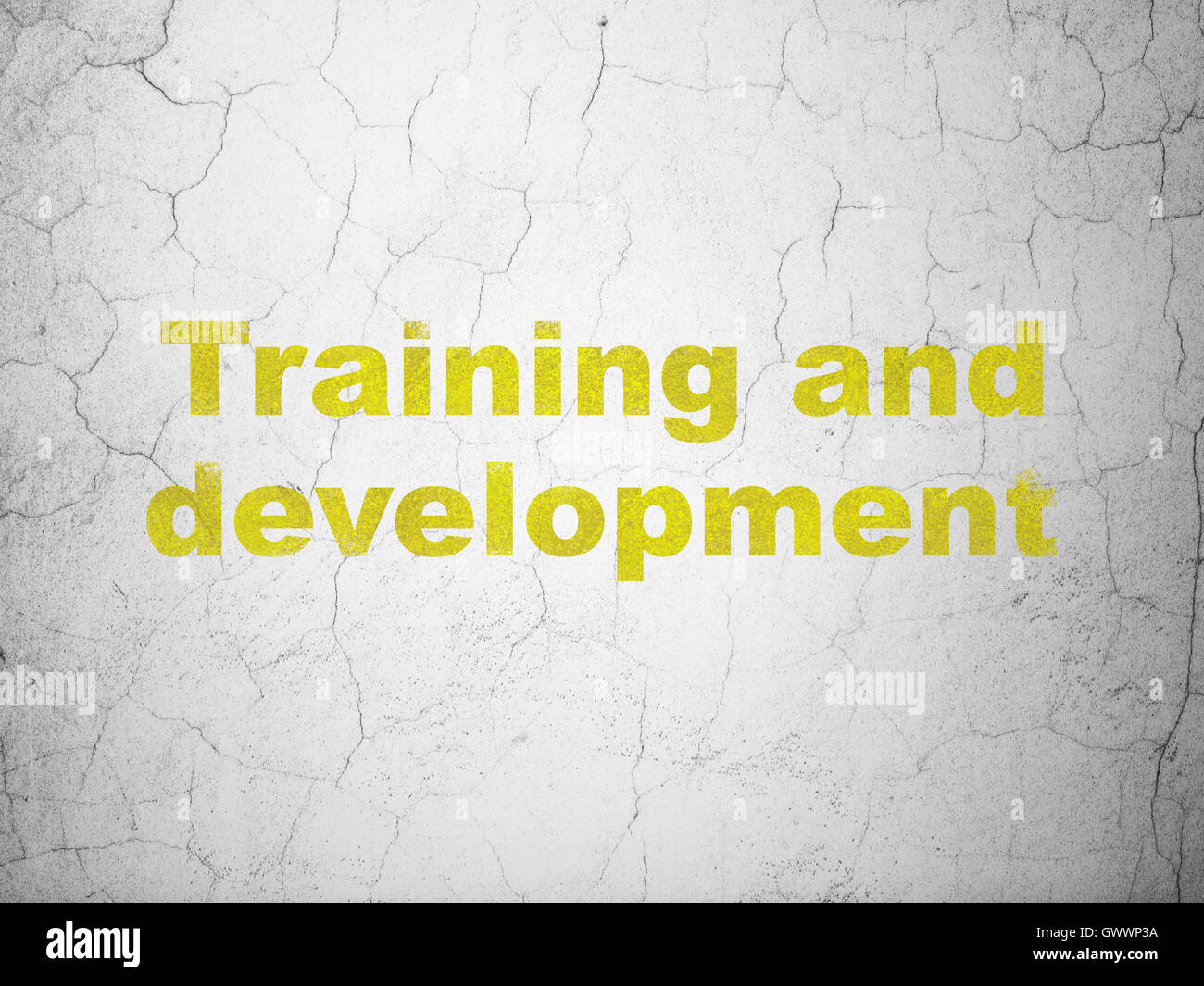 Studying concept: Training and Development on wall background Stock ...