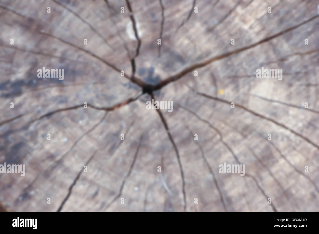 Blurry of wood texture for background Stock Photo - Alamy