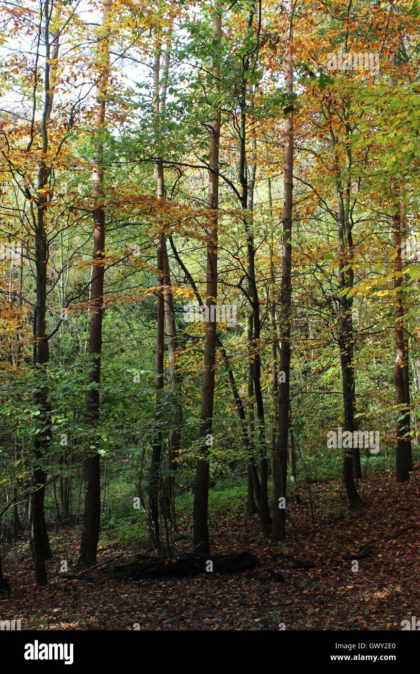 Changing shades hi-res stock photography and images - Alamy