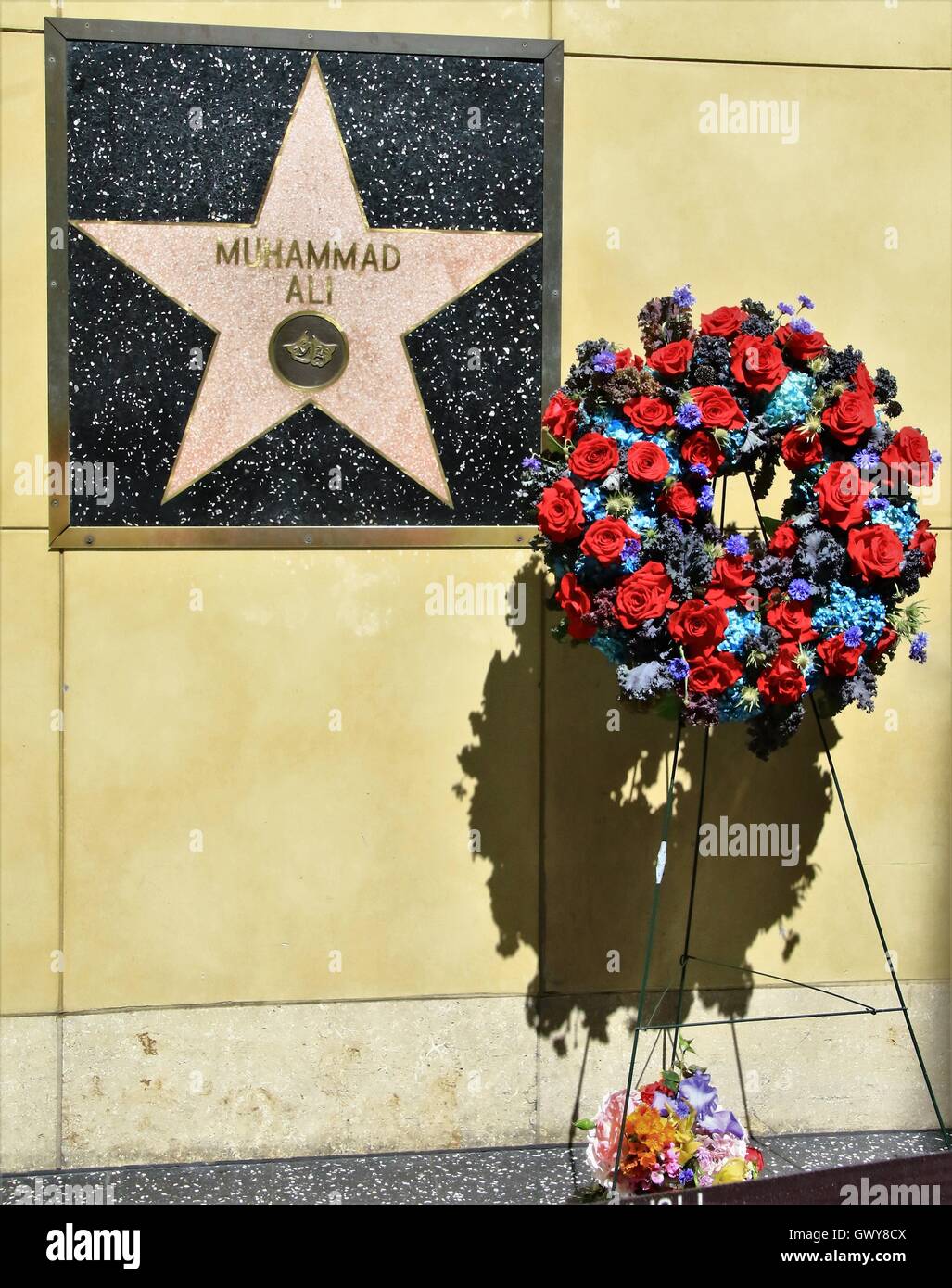 A flower tribute is left next to the Hollywood Walk of Fame star for ...