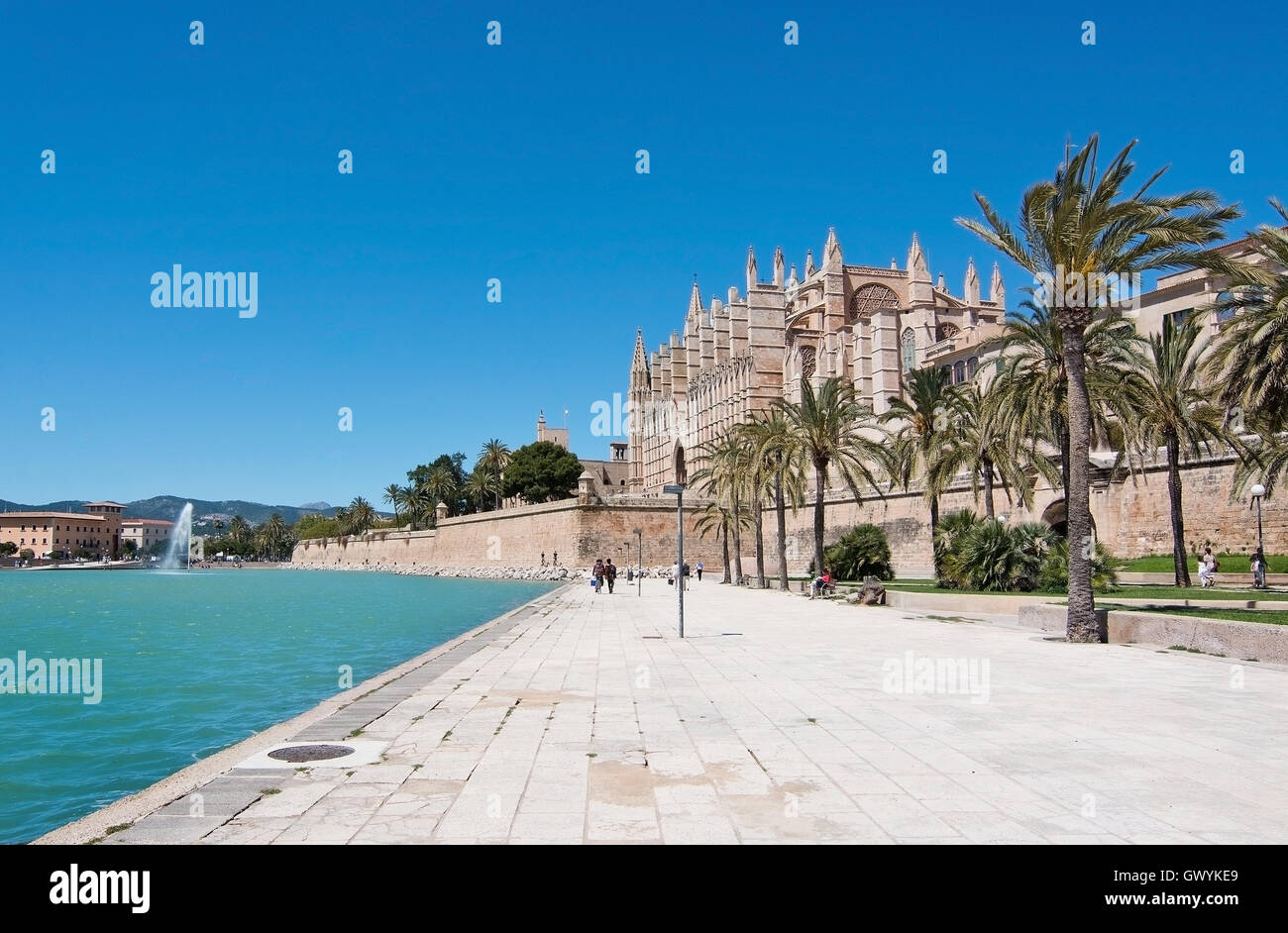 La Seu Cathedral and fountain from Dalt Murada in Palma de Mallorca ...