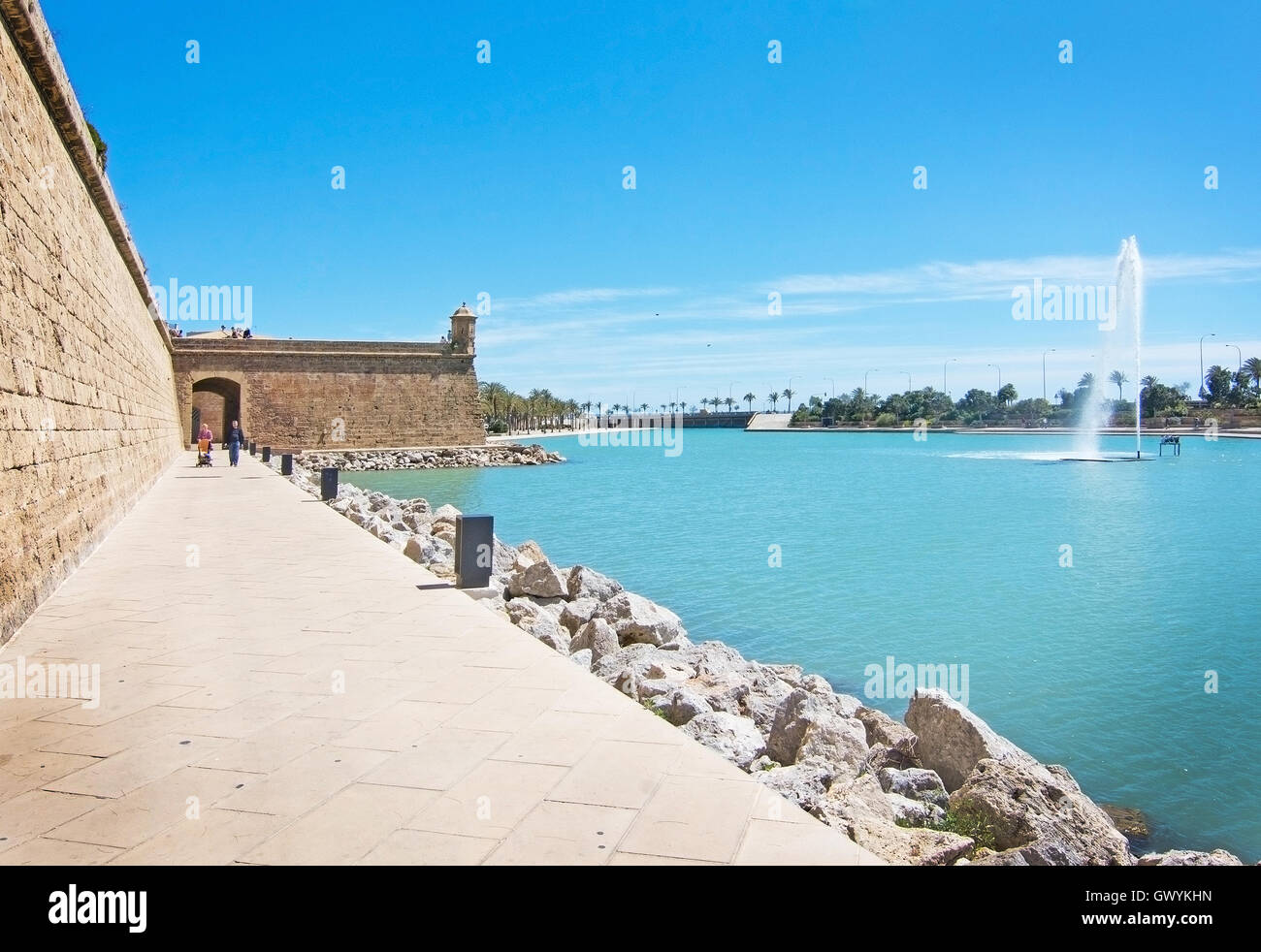 La Seu Cathedral and fountain from Dalt Murada in Palma de Mallorca ...
