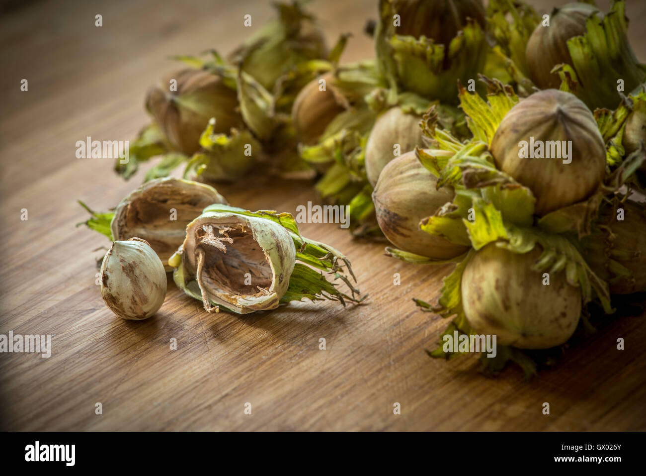 Cobnuts (Cultivated variety of Hazelnut Stock Photo - Alamy