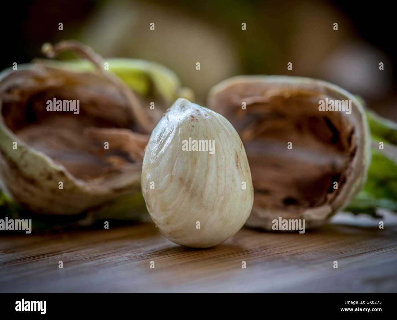 Cobnuts (Cultivated variety of Hazelnut Stock Photo - Alamy