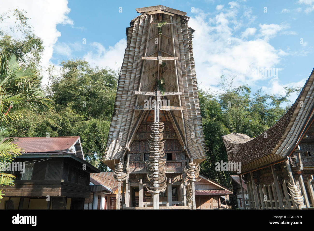 Tongkonan houses, traditional Torajan buildings and house located at Ke ...