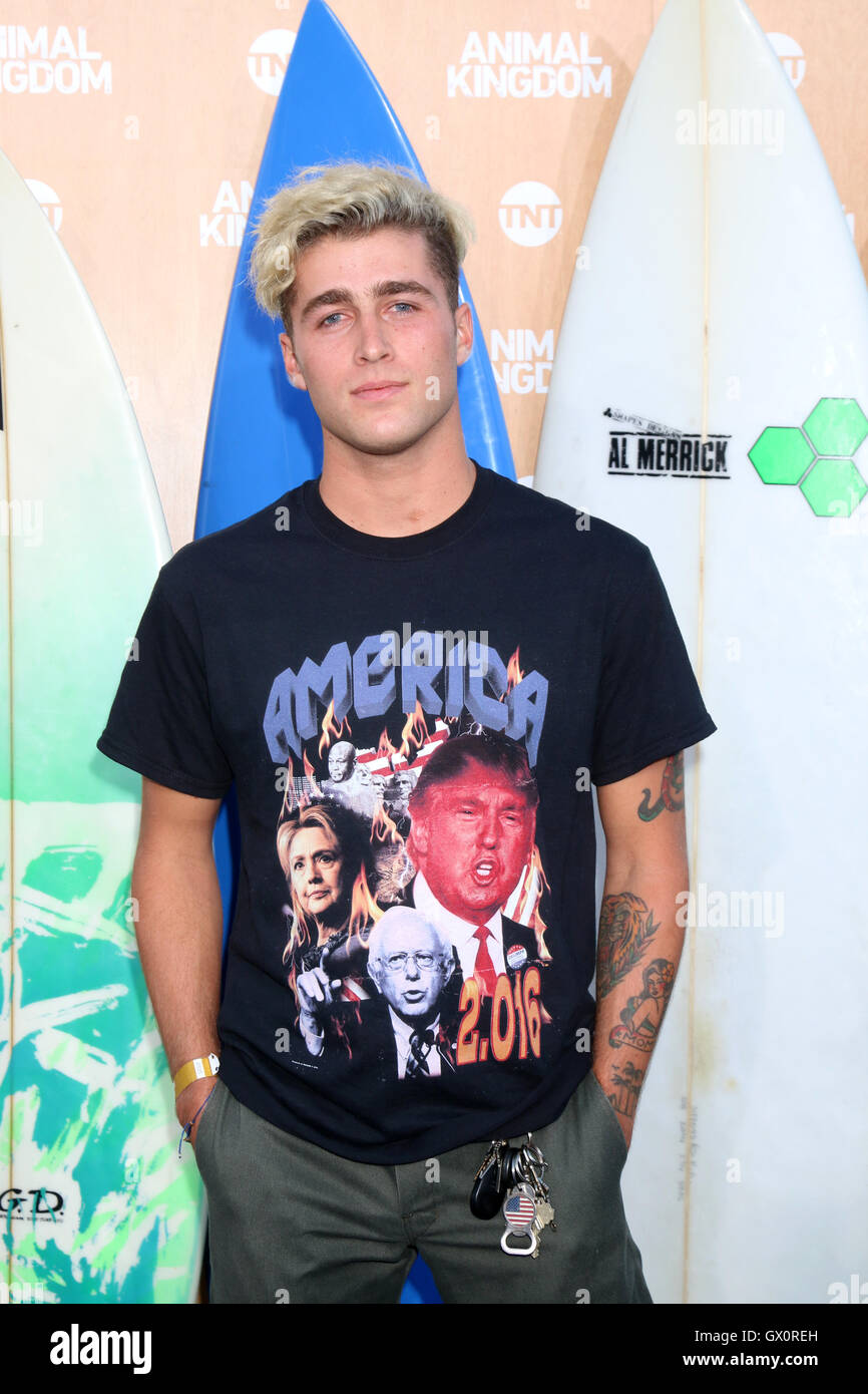 Premiere of TNT's 'Animal Kingdom' at The Rose Room - Arrivals ...