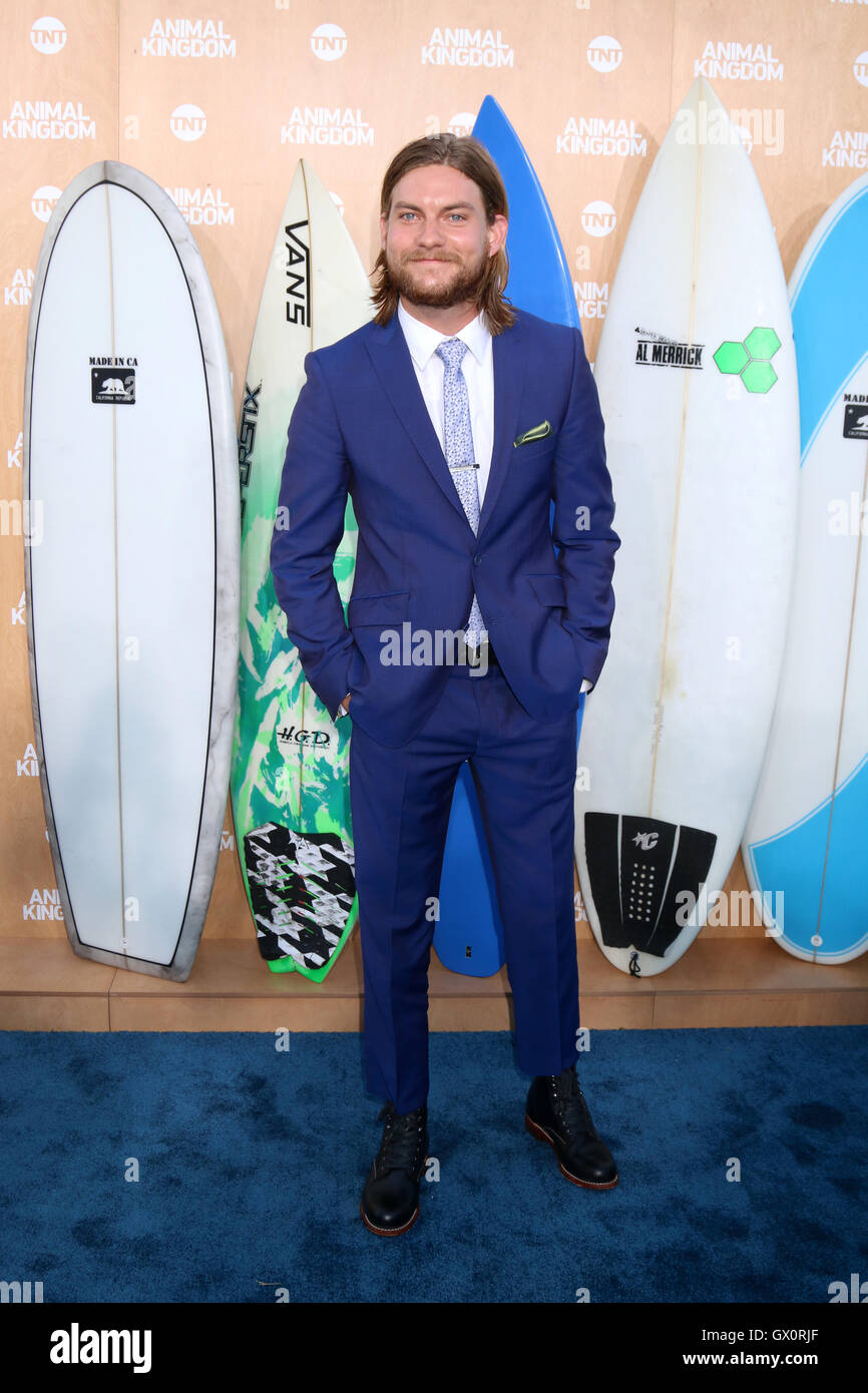 Weary animal hi-res stock photography and images - Alamy