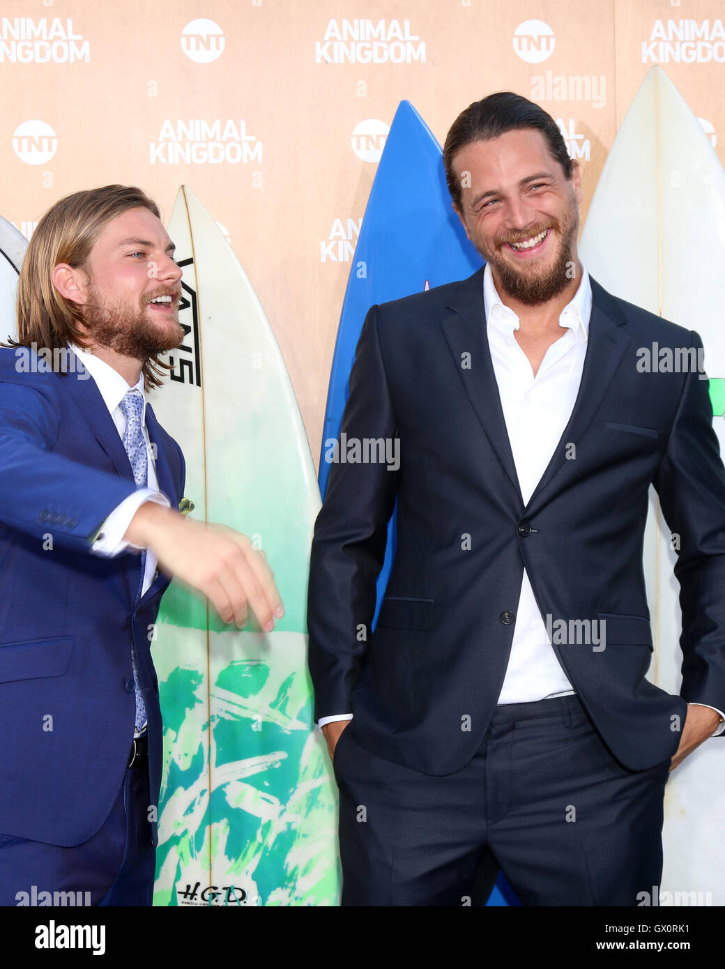 Premiere of TNT's 'Animal Kingdom' at The Rose Room - Arrivals ...