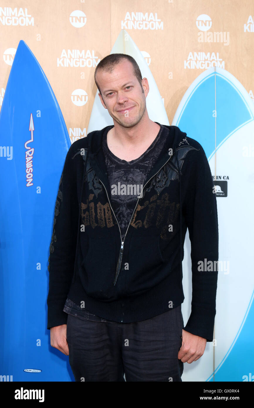 Premiere of TNT's 'Animal Kingdom' at The Rose Room - Arrivals ...