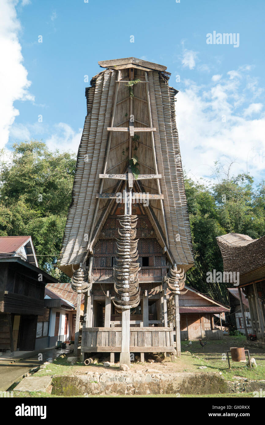 Tongkonan houses, traditional Torajan buildings and house located at Ke ...