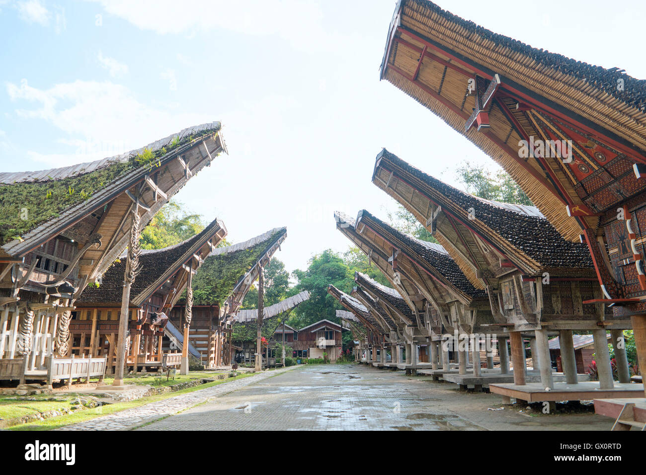 Tongkonan hi-res stock photography and images - Alamy