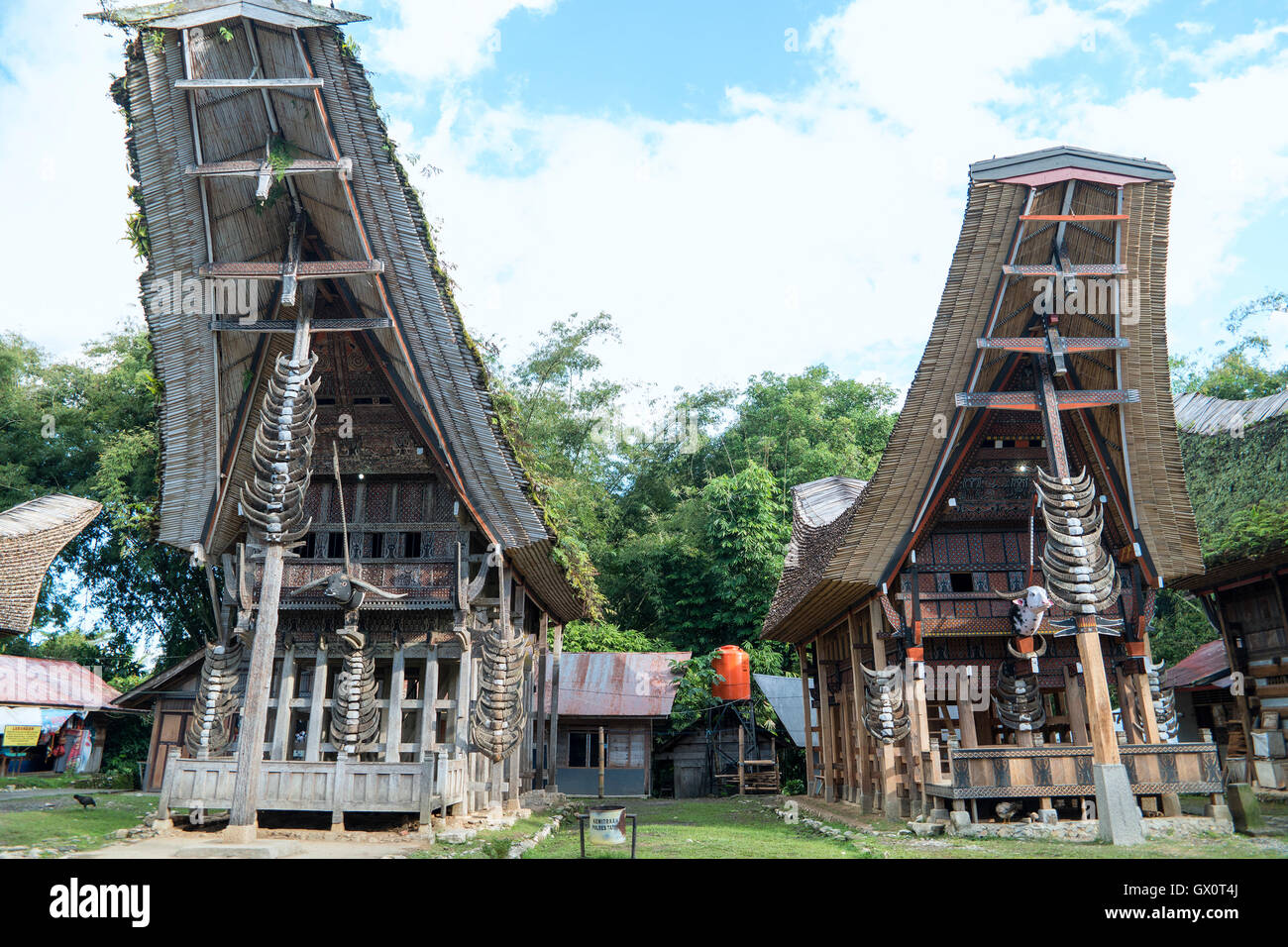Tongkonan houses, traditional Torajan buildings and house located at Ke ...