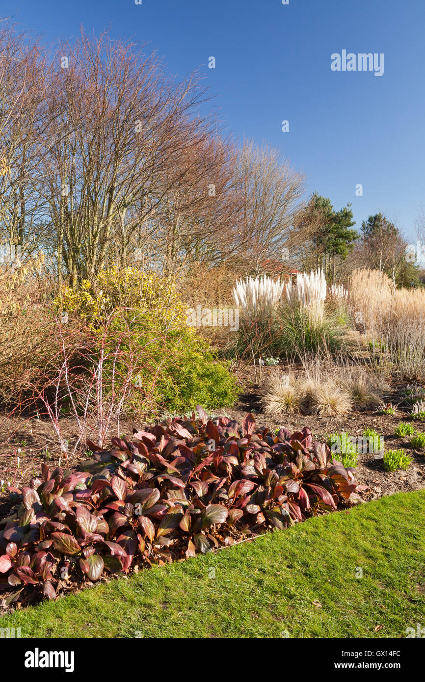 Prairie Borders. Brightwater Gardens, Saxby, Lincolnshire, UK. Winter ...
