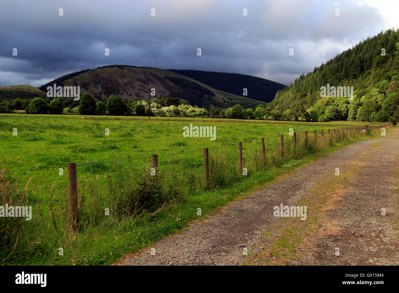 Rural farmland in the Scottish Borders, Scotland, UK Stock Photo - Alamy