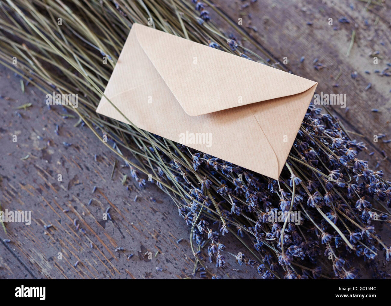 Blank brown envelope on a bunch of lavender flowers. Wedding invite or ...