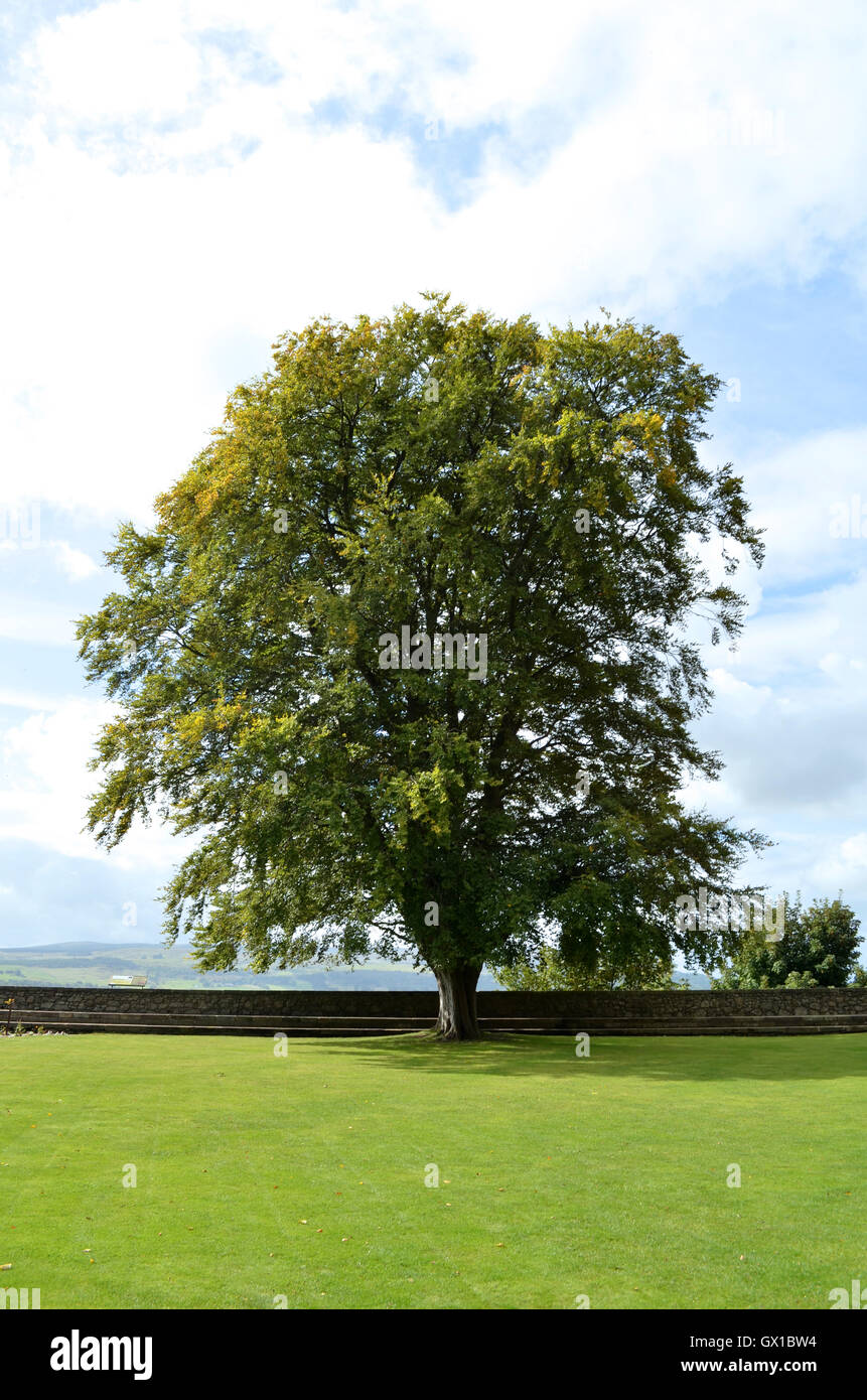 Courtyard scottish stirling castle hi-res stock photography and images ...