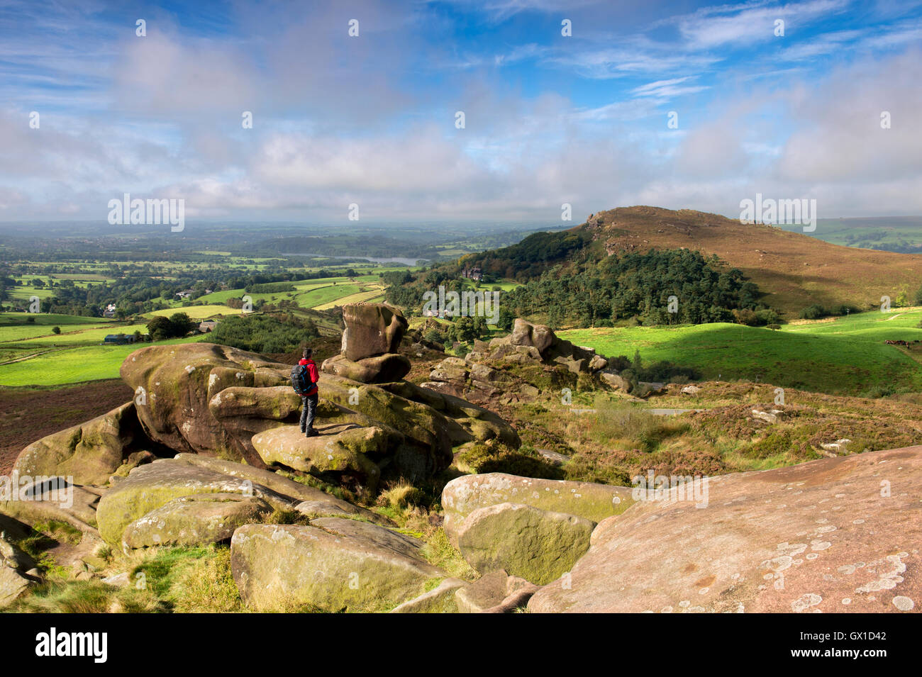 A walker stood on Ramshaw Rocks looking towards Hen Cloud at the ...