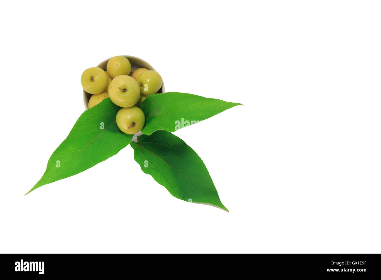 Fruit crops cultivated a separate white background Stock Photo - Alamy