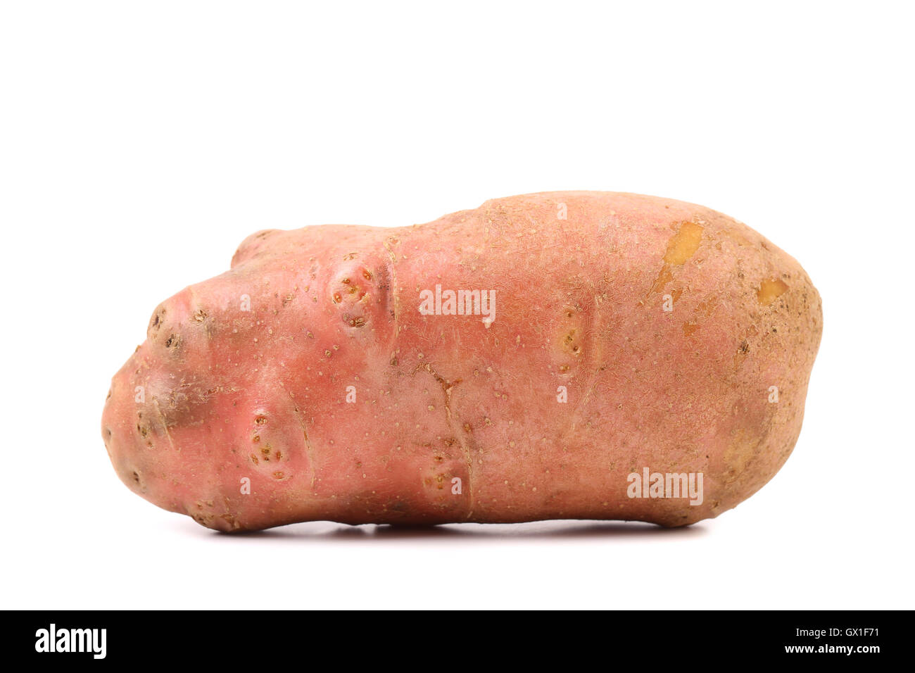 Red potato tuber Stock Photo - Alamy