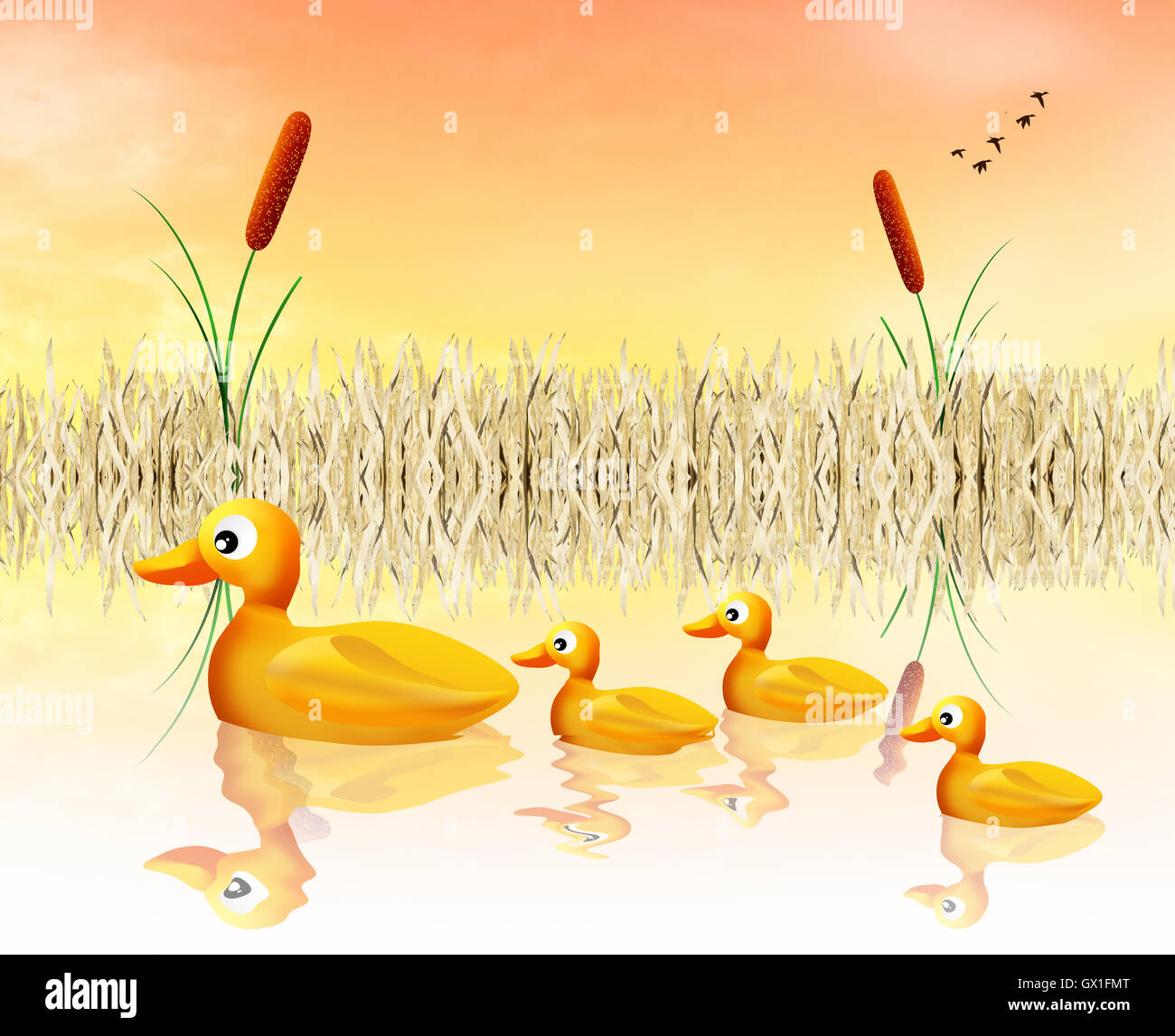 family of ducks Stock Photo - Alamy