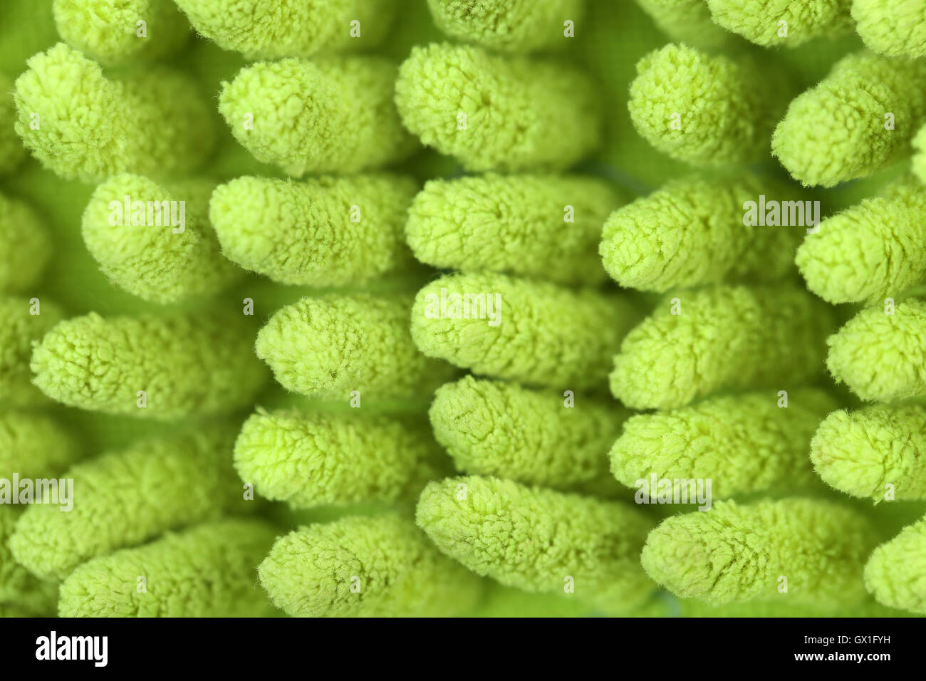 Close up hand bath sponge glove Stock Photo - Alamy