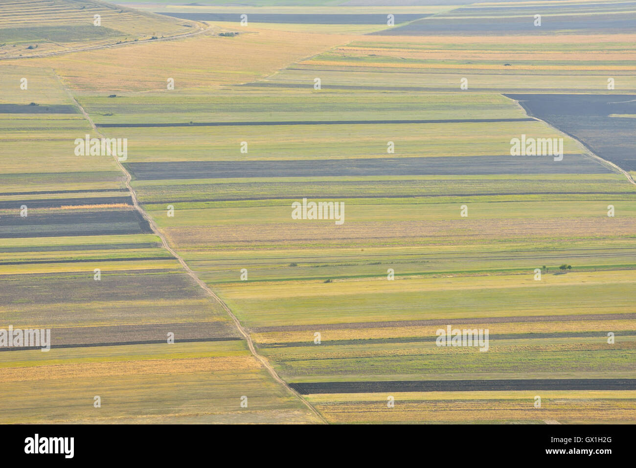 Stubble fields in dobrogea hi-res stock photography and images - Alamy
