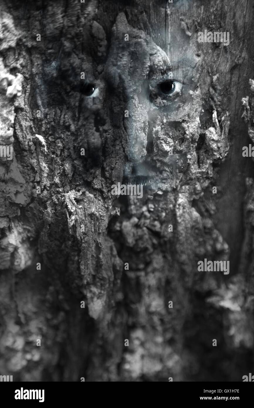 Black and white of a face in a tree hi-res stock photography and images ...