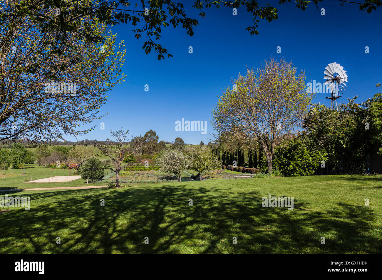 bush garden with water bore windmill Stock Photo - Alamy