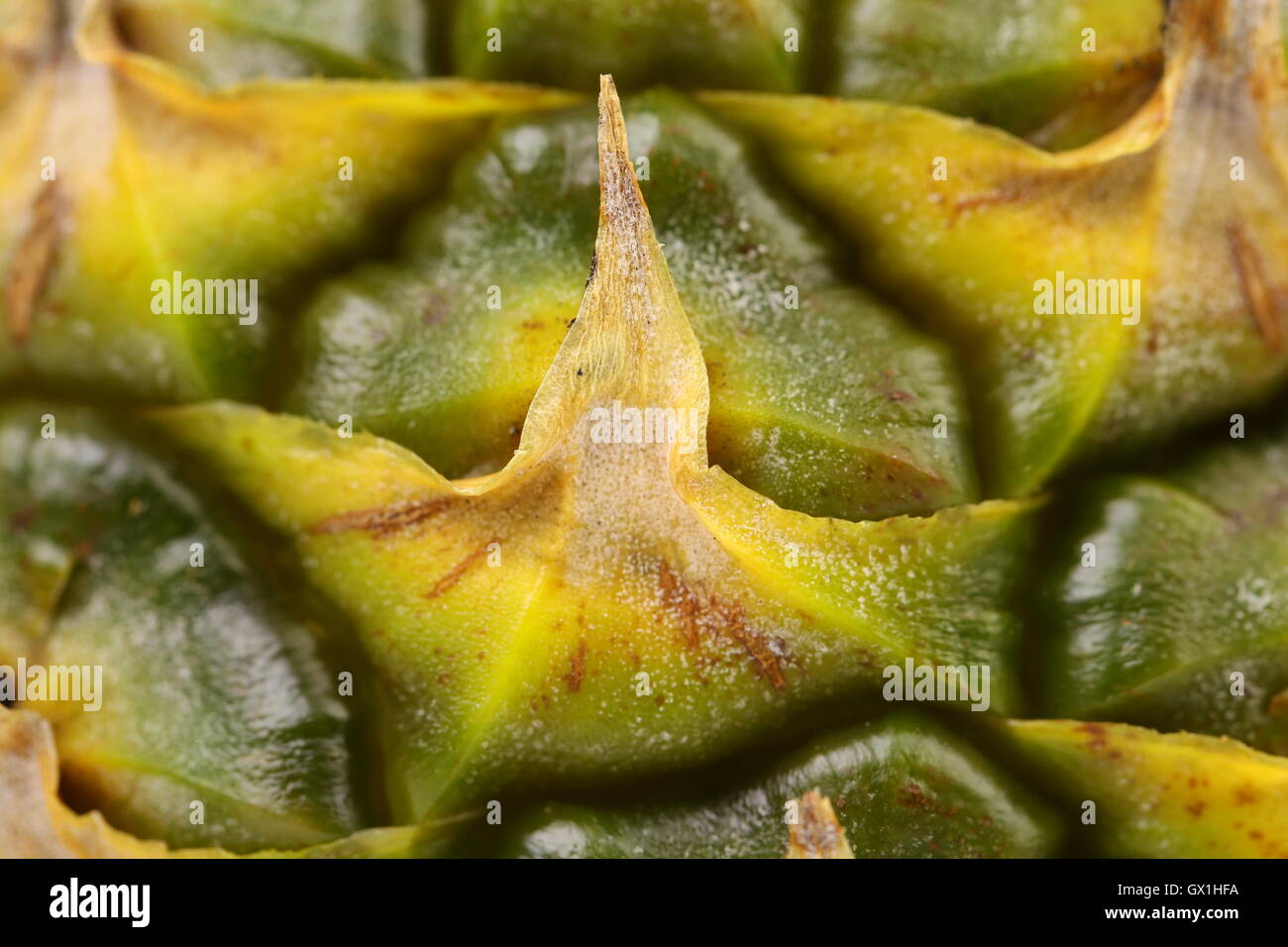 Close up texture of fresh ripe pineapple. Macro Stock Photo - Alamy