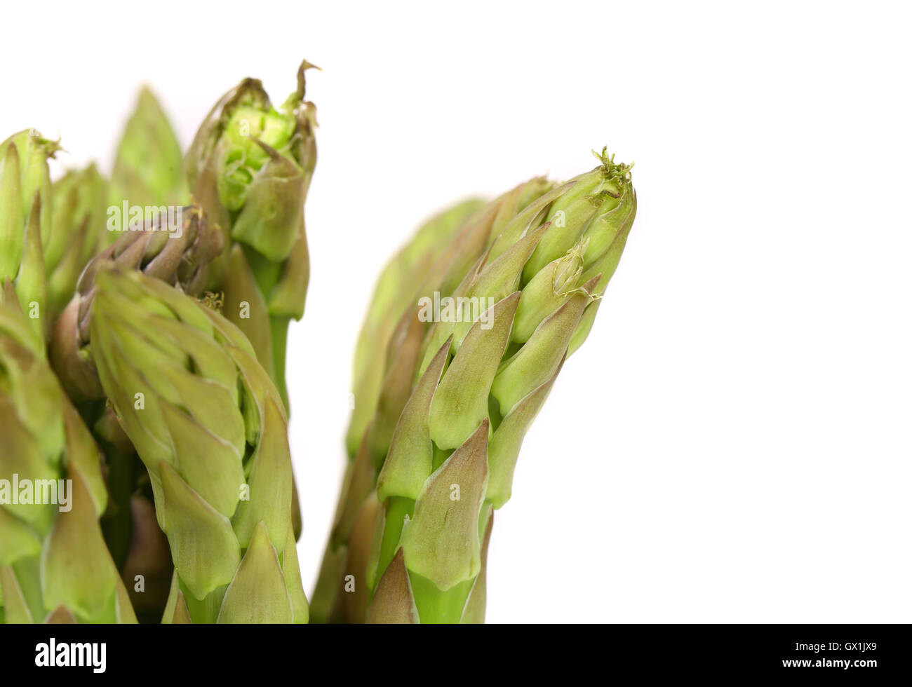 Close up of top asparaguses hi-res stock photography and images - Alamy