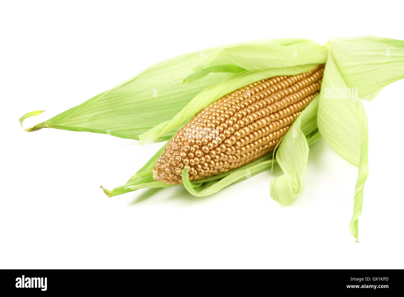Corn leaves detail Cut Out Stock Images & Pictures - Alamy