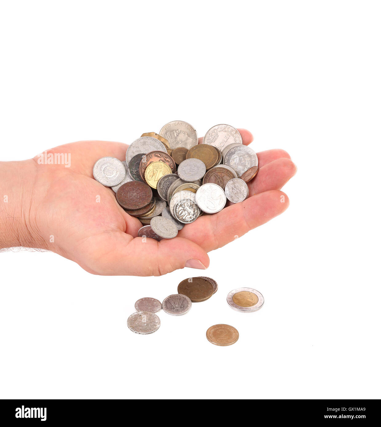 Hand holds coins Stock Photo - Alamy