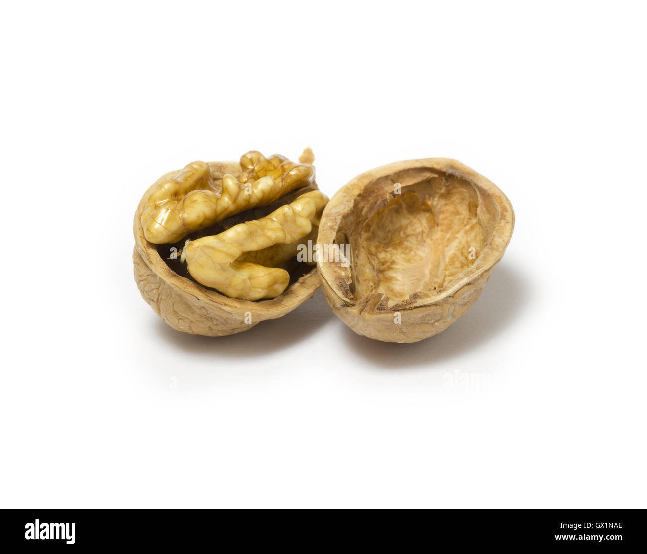 Isolated open walnut hi-res stock photography and images - Alamy