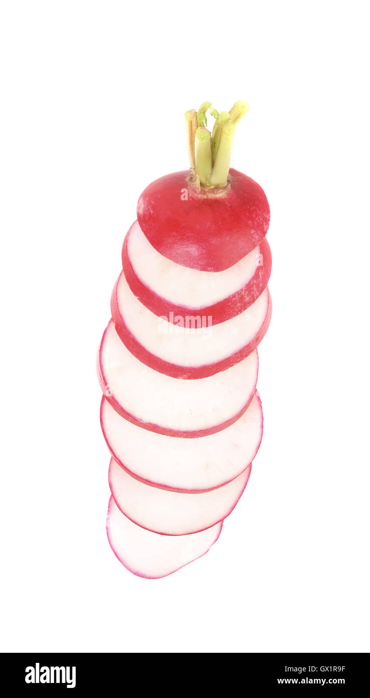 Vertical lined radish slices Stock Photo - Alamy