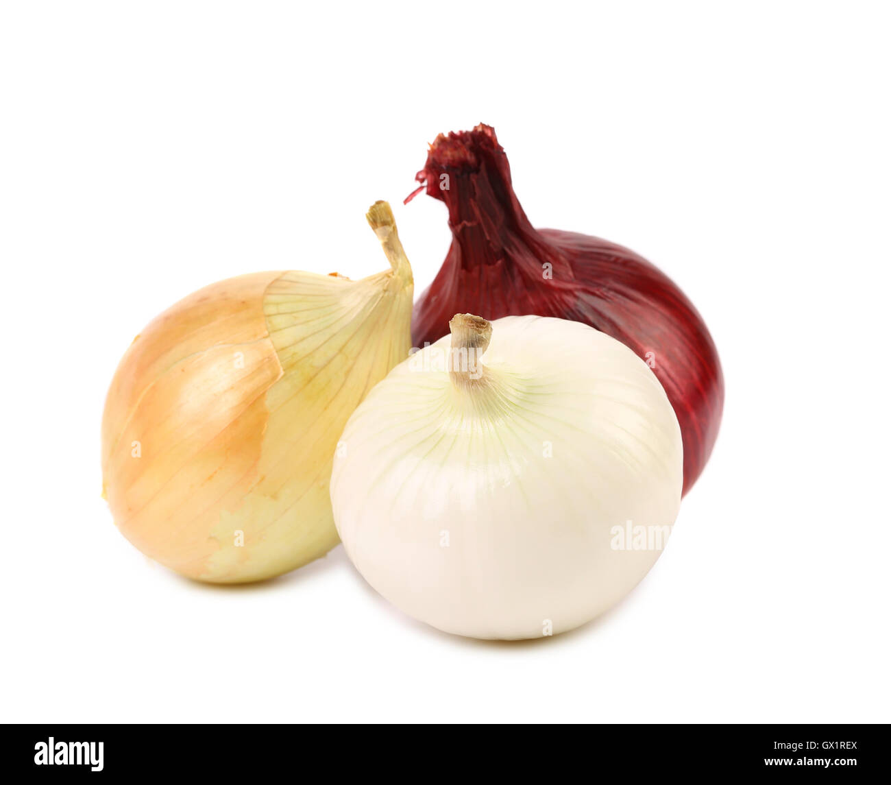 Three organic large onions hi-res stock photography and images - Alamy