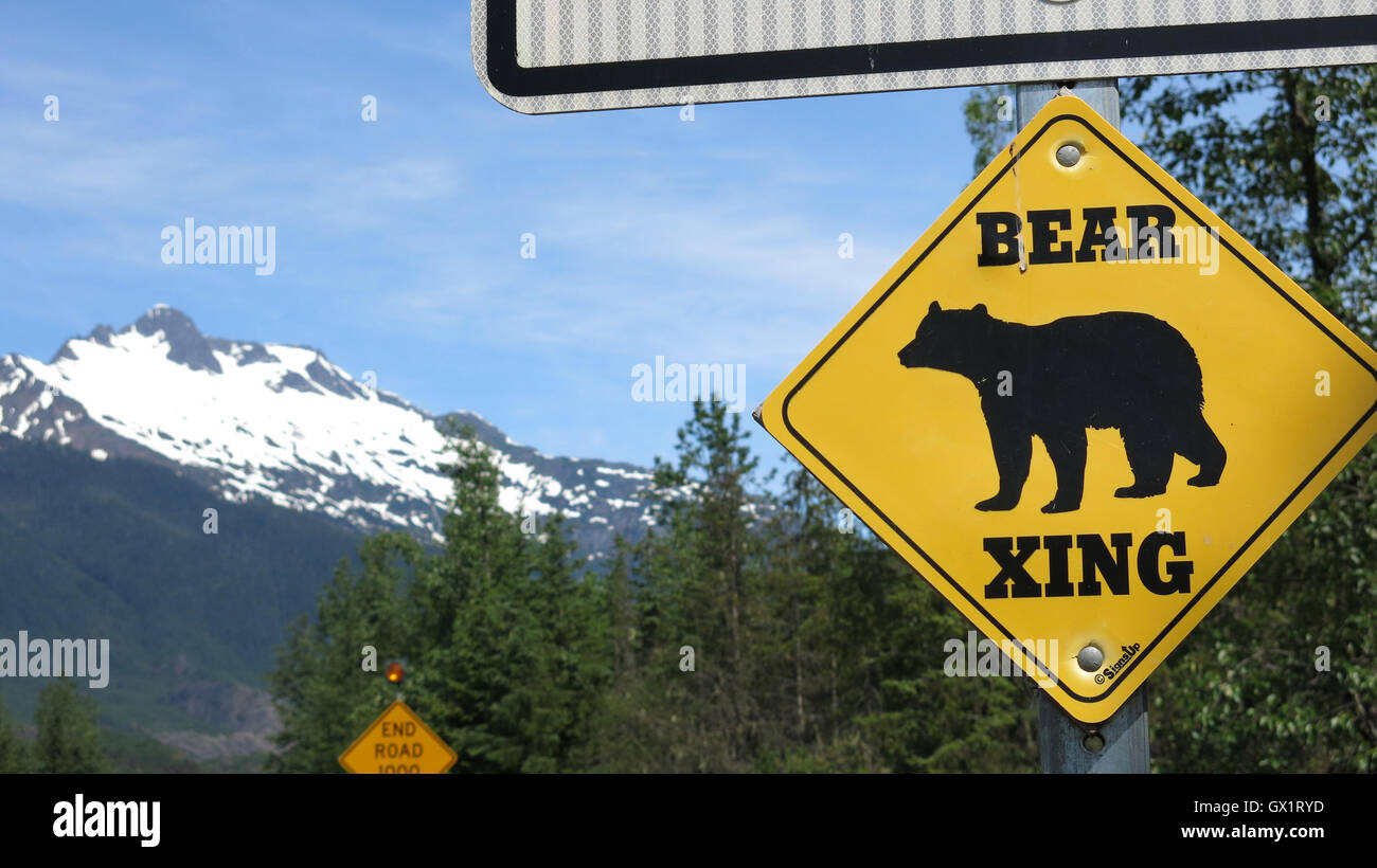 Bear crossing road sign hi-res stock photography and images - Alamy
