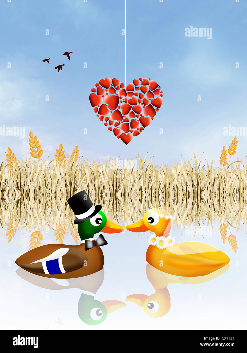 Wedding of ducks Stock Photo - Alamy