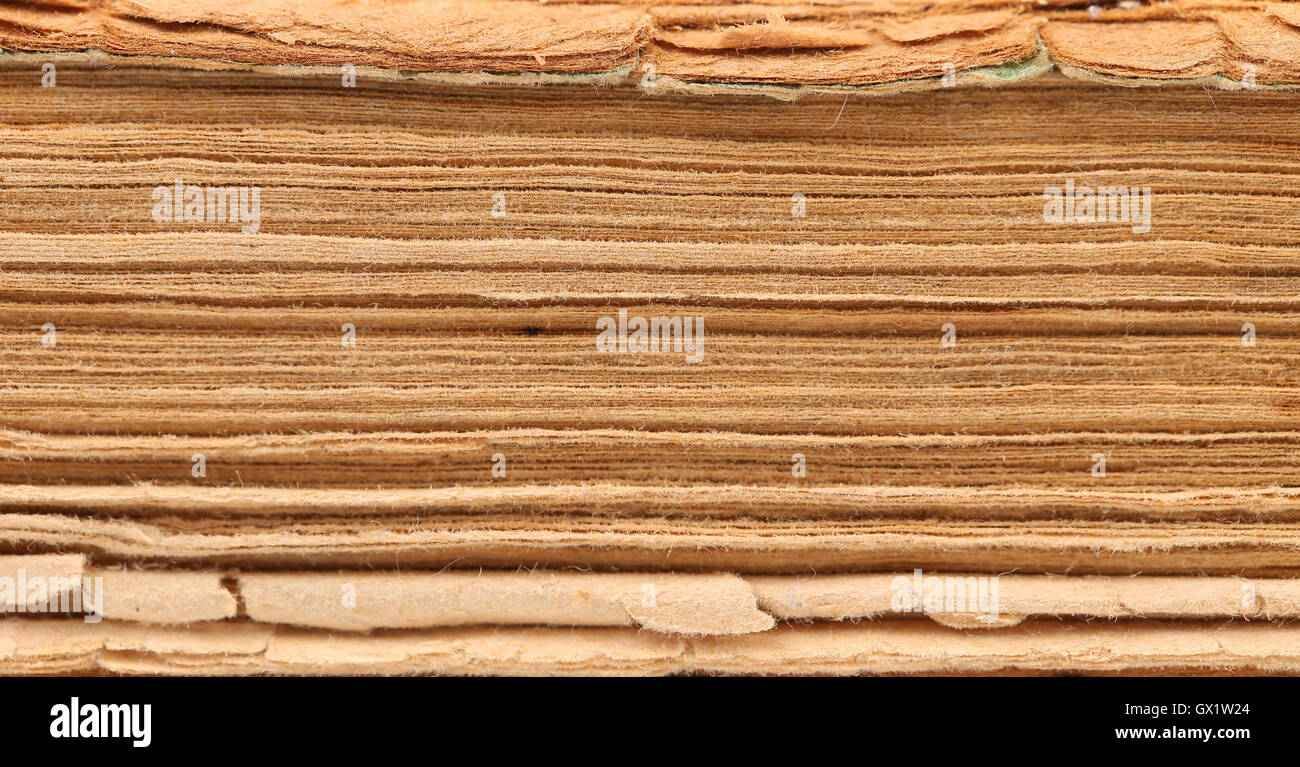 Binding of old book. Close up Stock Photo - Alamy