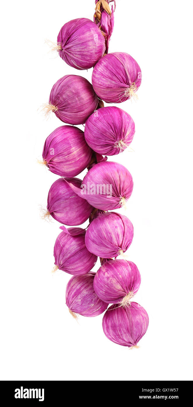 Plait of onions Stock Photo - Alamy
