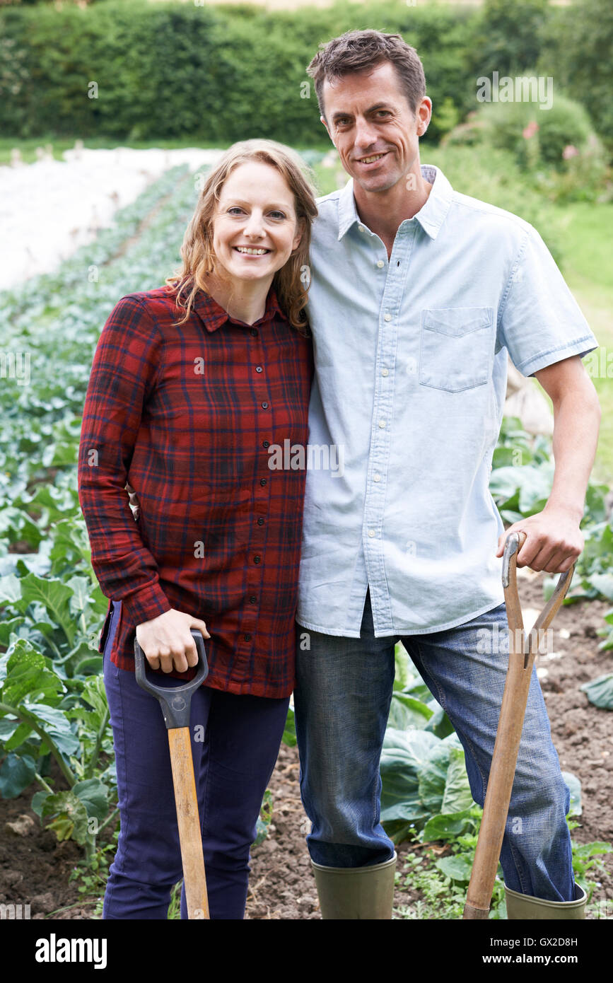 Portrait Of Couple Working In Organic Farm Field Stock Photo - Alamy