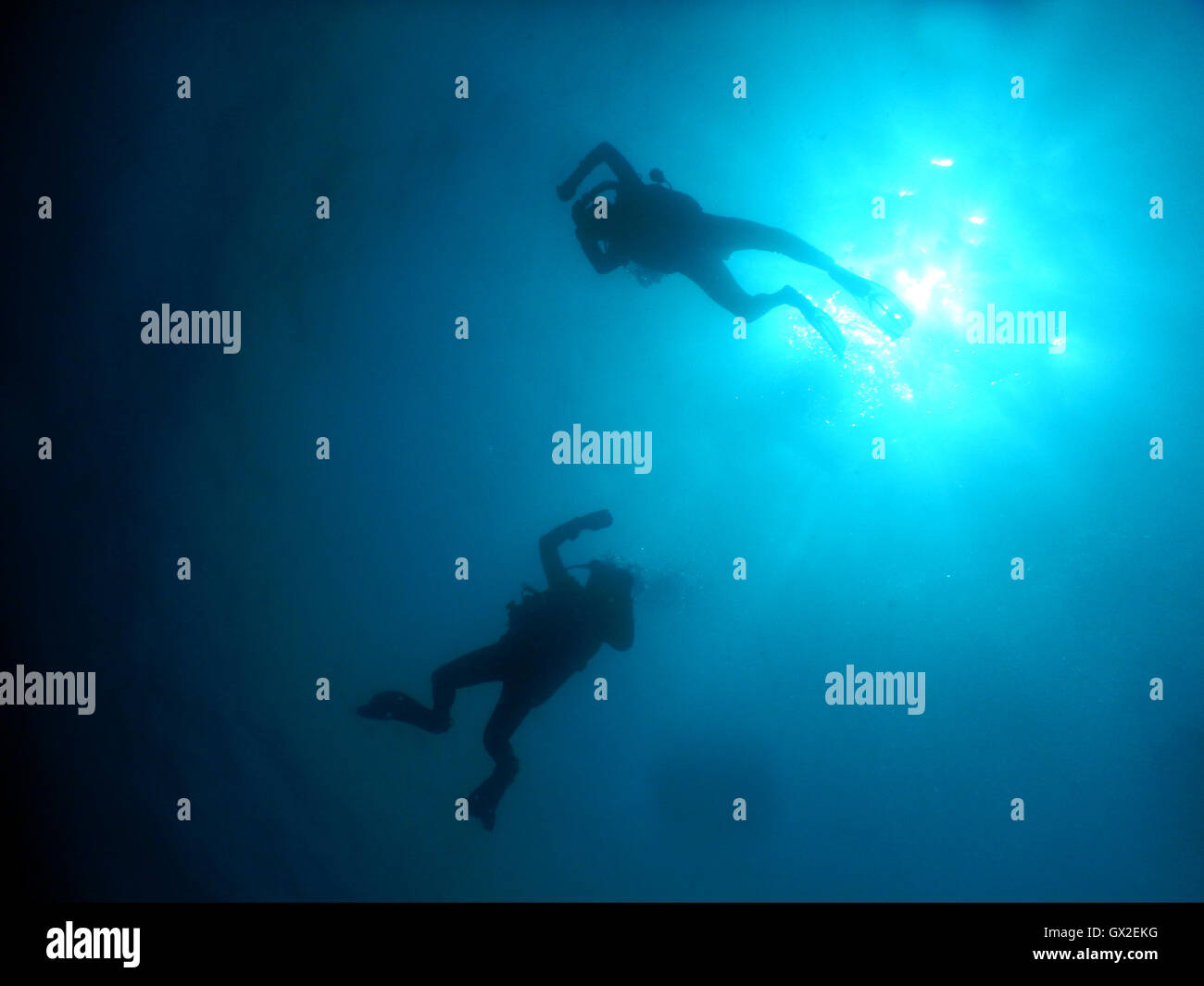 Diving in the crystal clear water of Mediterranean. Underwater photos ...