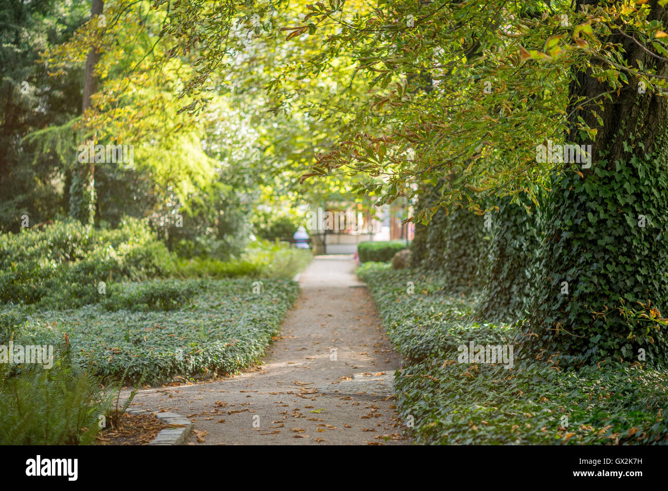 Botanical Gardens in Wroclaw at the beginning of autumn Stock Photo - Alamy