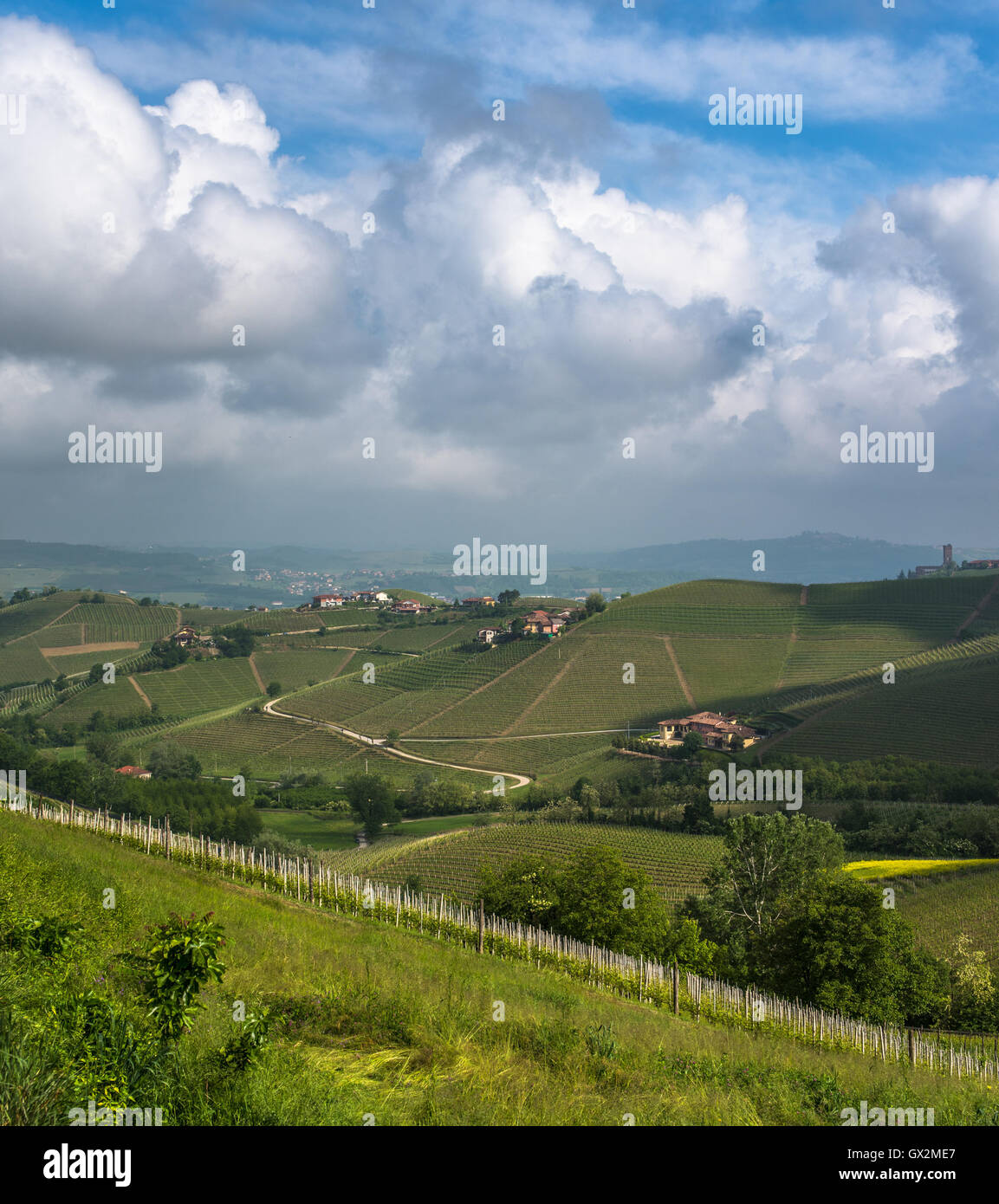 Vineyards of Langhe, Piedmont, UNESCO world heritage Stock Photo - Alamy