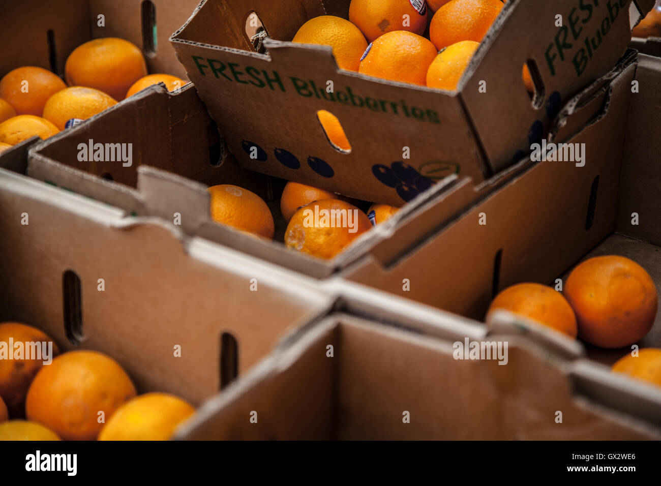 Oranges on the market placed in boxes Stock Photo - Alamy