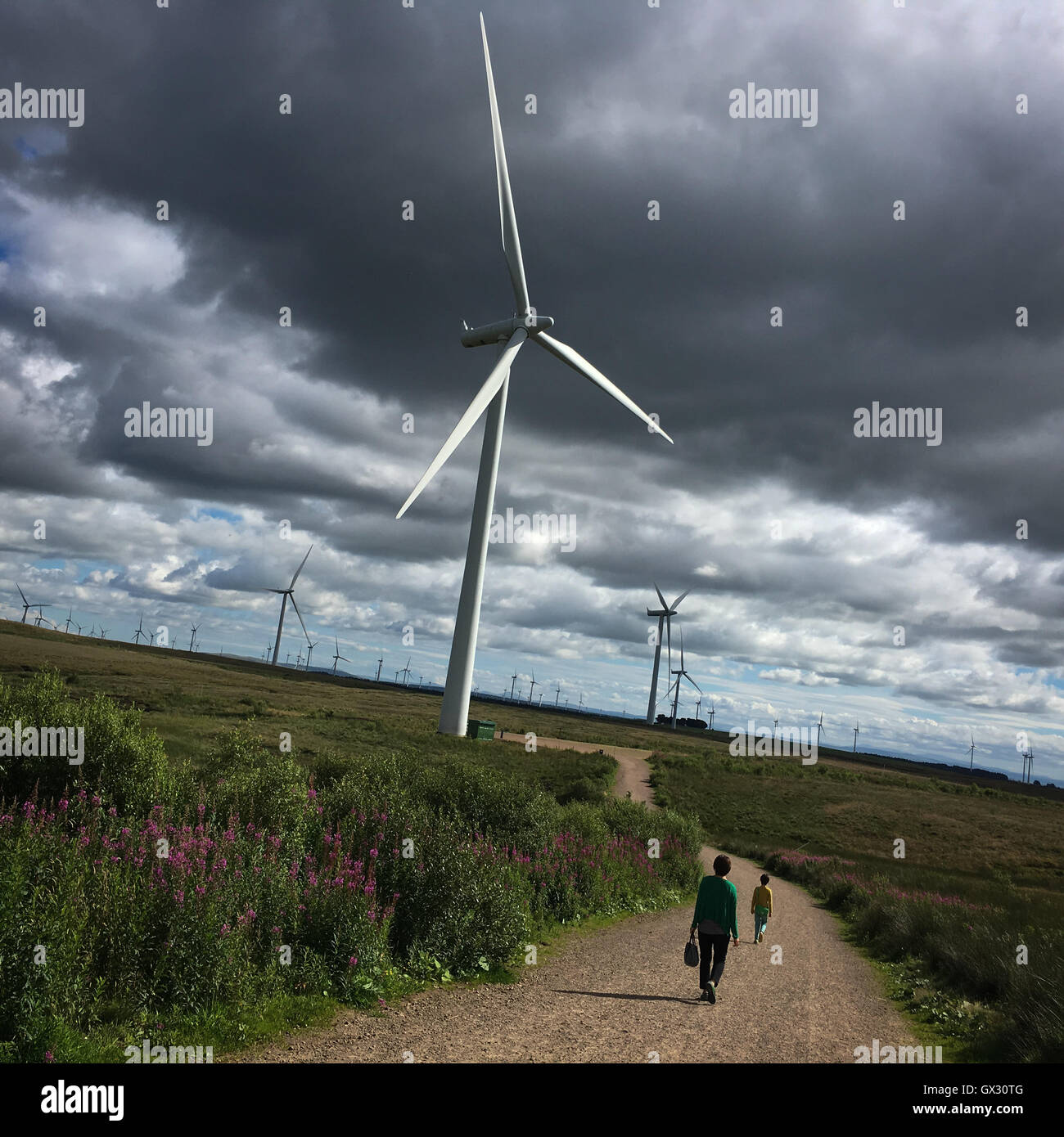 Wind turbines at Whitelee Windfarm, - the UK's largest onshore windfarm ...